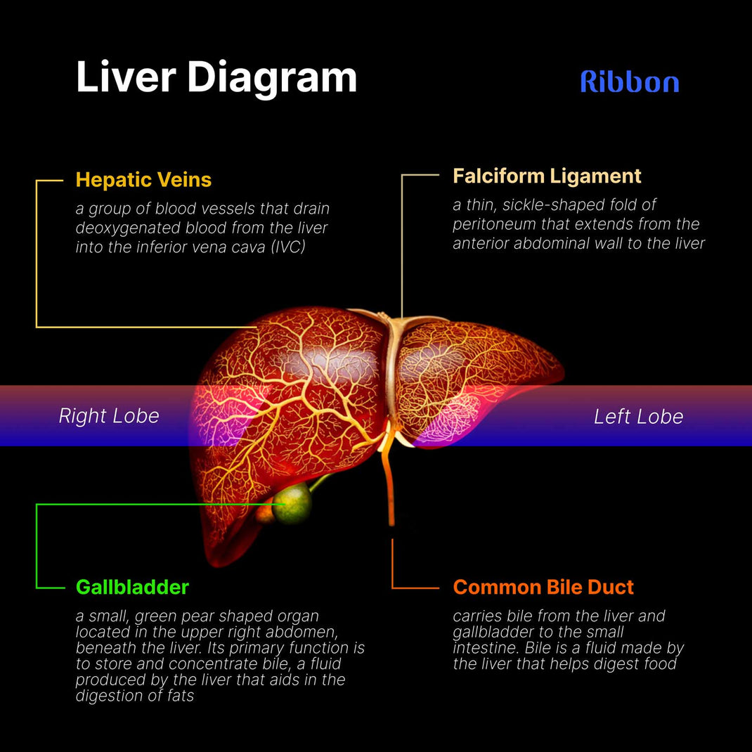 At Home Liver Test – Ribbon Checkup | Comprehensive Health Solutions