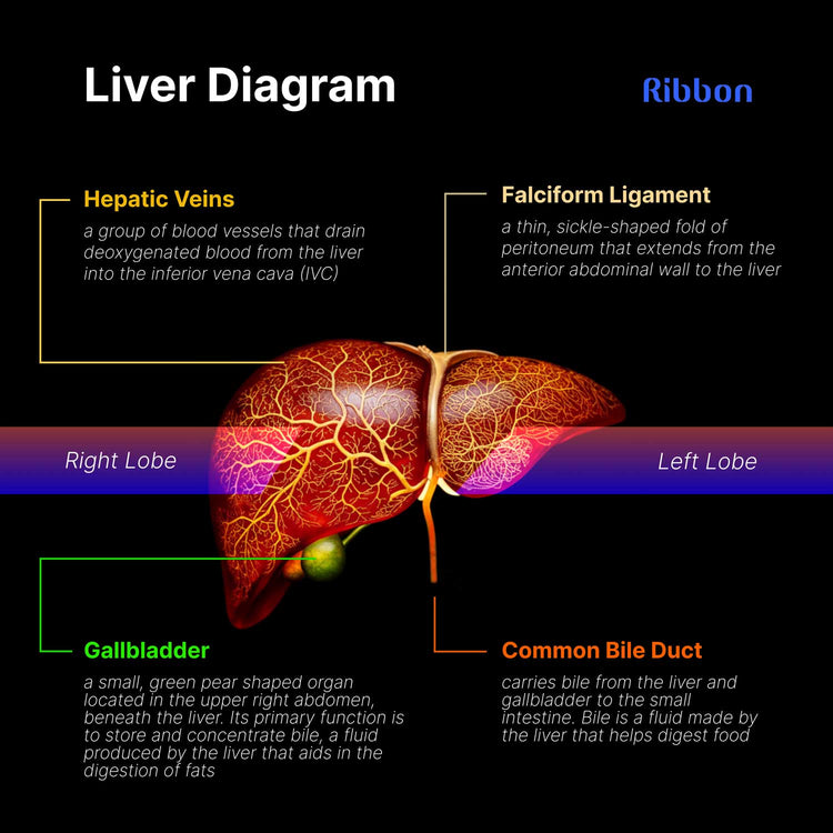 At Home Liver Test – Ribbon Checkup | Comprehensive Health Solutions