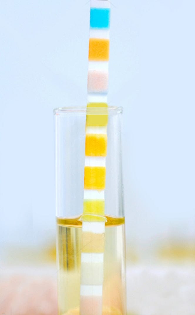 Ribbon Checkup - At Home urine test
